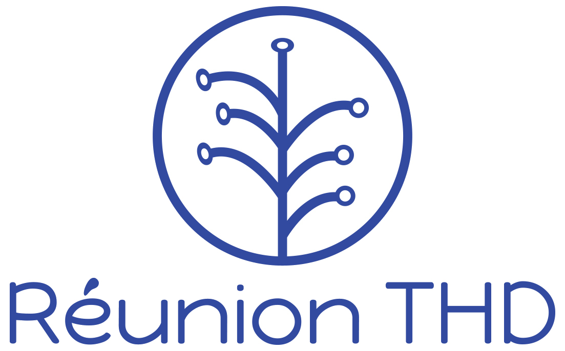 Accueil - Réunion THD